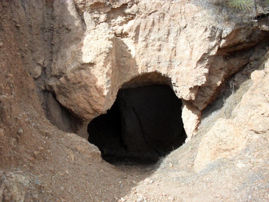 Rodents Underground – Amelia Rhodes